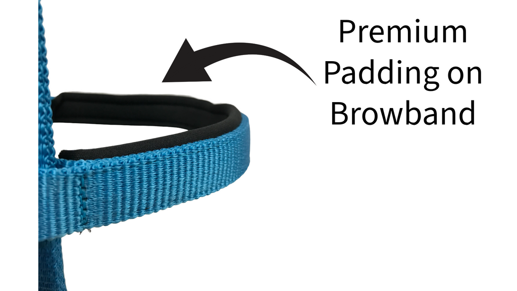 Comfort Double Layered Nylon Western Headstall with Matching Split ...