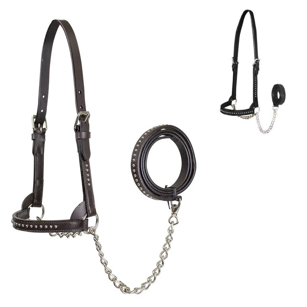 Premium Spotted Leather Cattle Show Halter with Lead - Limited Warranty ...