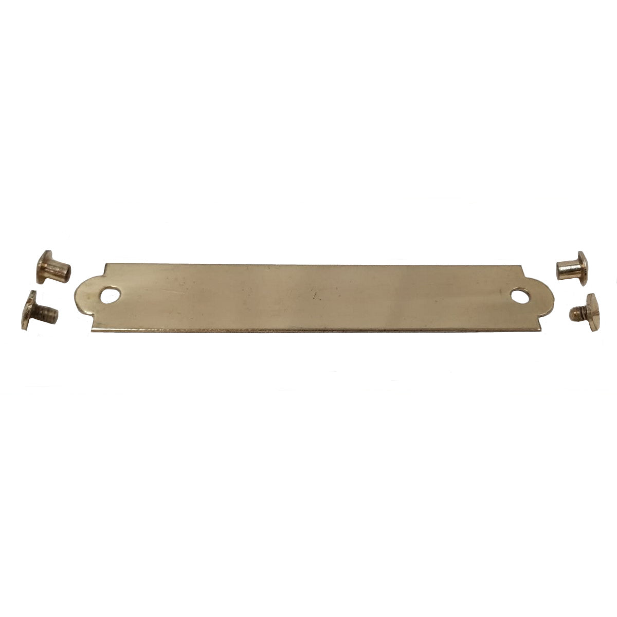 Brass Name Plate Designed for Horse Halters 7/8" X 5" – Tack Wholesale