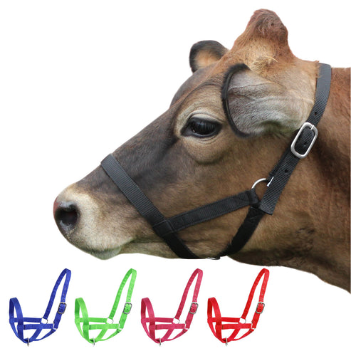 Derby Originals Adjustable Nylon Livestock Cattle Halters Available in ...