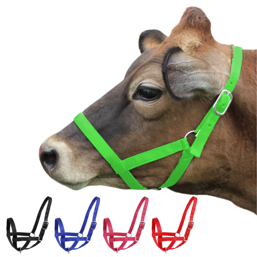 Derby Originals Adjustable Nylon Livestock Cattle Halters Available in ...