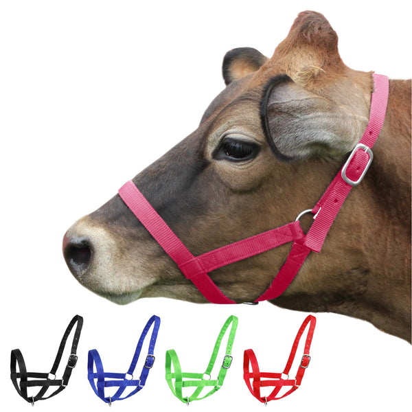 Derby Originals Adjustable Nylon Livestock Cattle Halters Available in ...