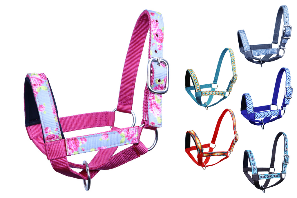 Derby Originals Patterned Double Layer Nylon Figure-8 Cattle Halters M ...