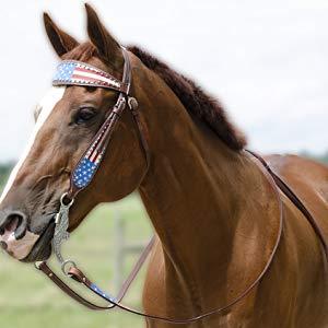 arabian headstall