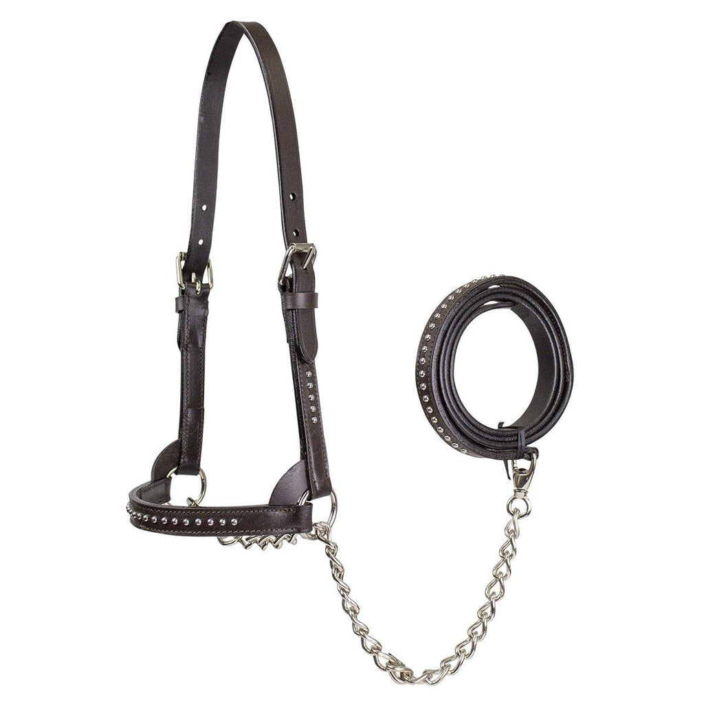 Premium Spotted Leather Cattle Show Halter with Lead - Limited Warranty ...