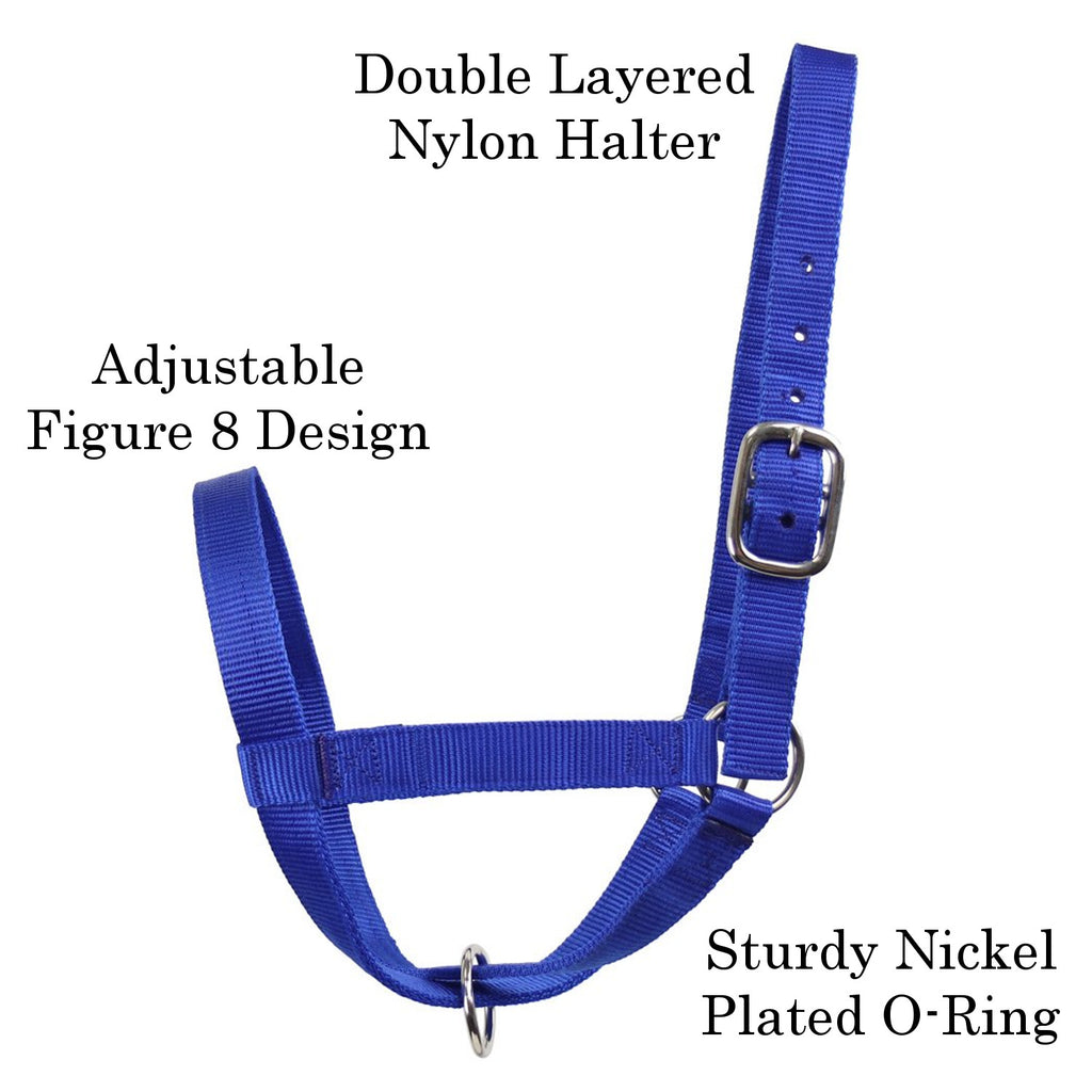 Derby Originals Adjustable Nylon Livestock Cattle Halters Available in ...
