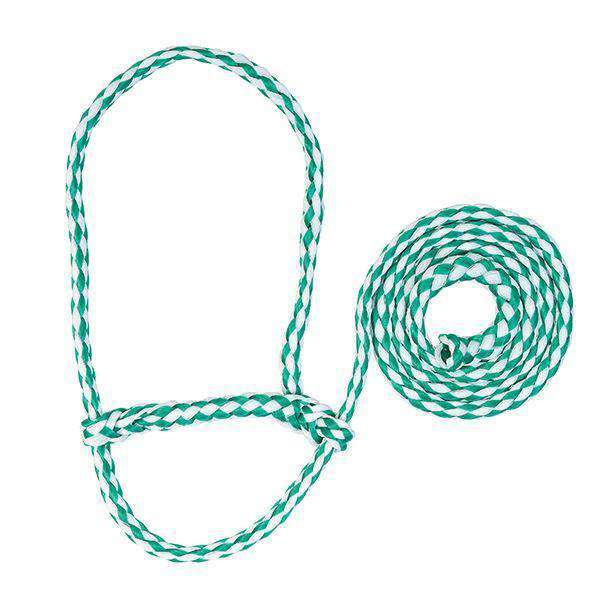 Weaver Livestock Poly Rope Sheep & Goat Halter Multiple Colors Availab ...