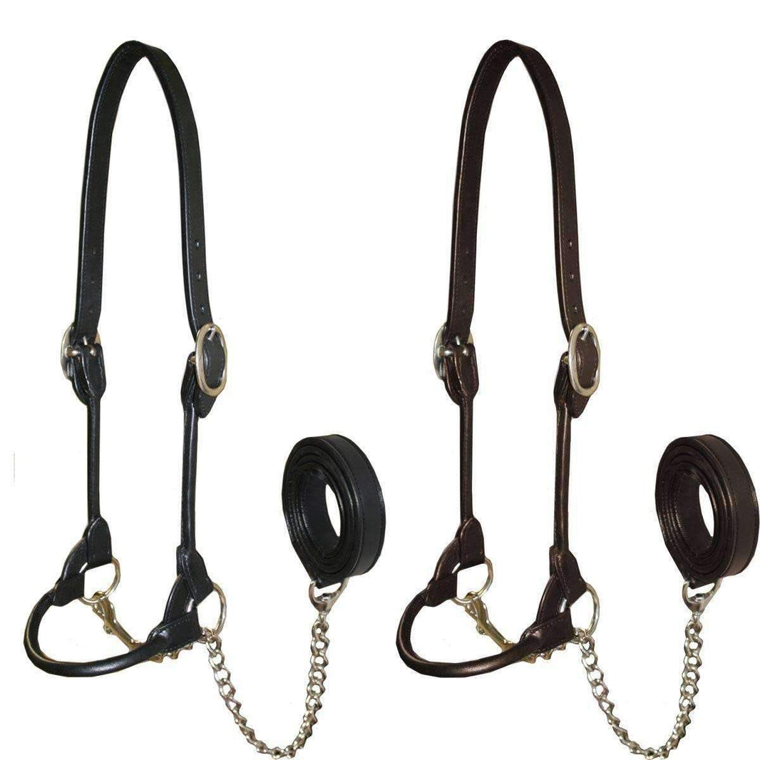 Premium Cattle Leather Show Halters for Sale – Tack Wholesale