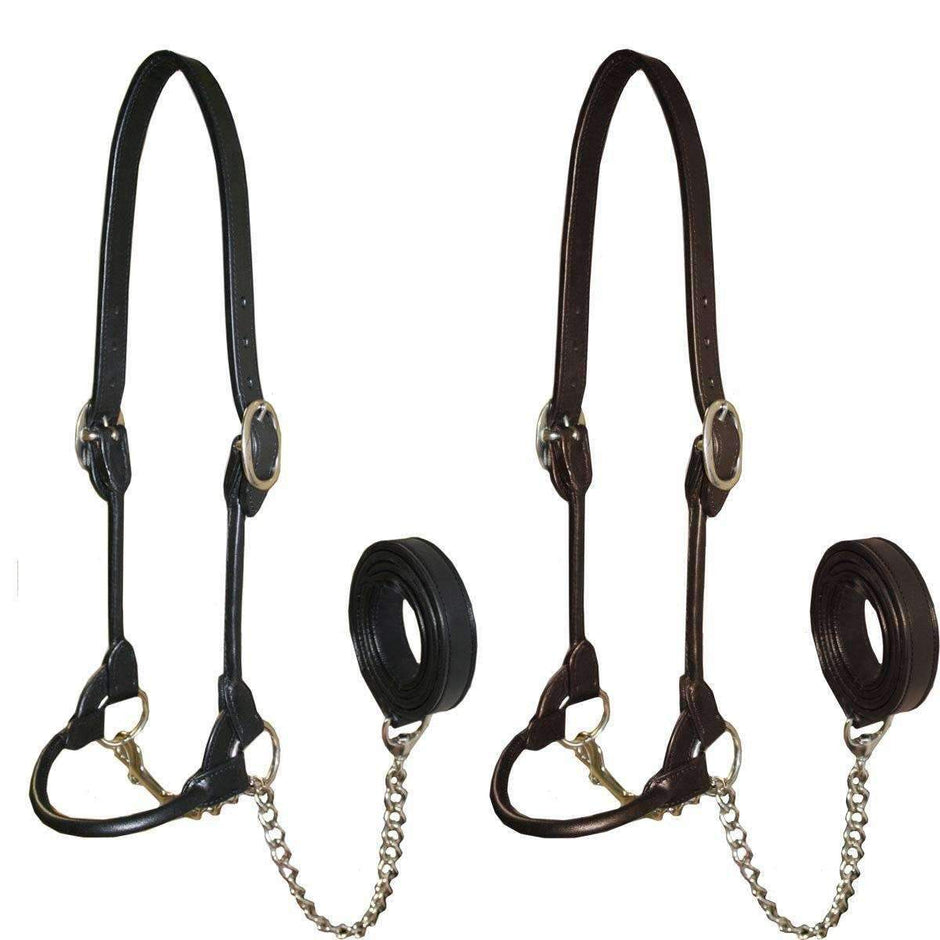 Premium Cattle Leather Show Halters for Sale – Tack Wholesale