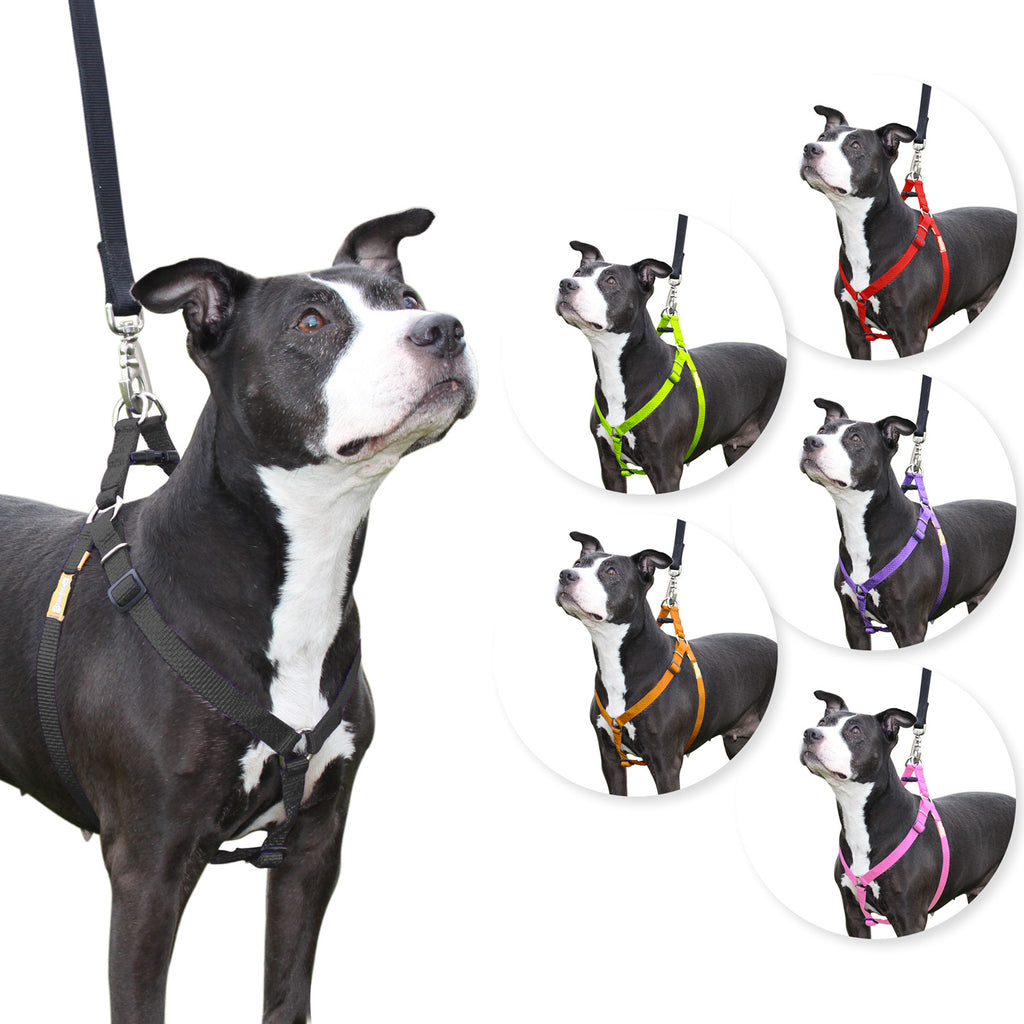 CuteNfuzzy Step in Dog Harness – Tack Wholesale
