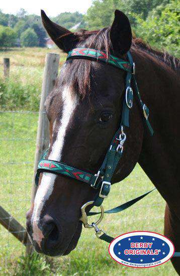 Derby Padded Nylon Halter Bridle Combo with Reins Aztec Overlay – Tack ...