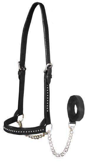 Premium Cattle Leather Show Halters for Sale – Tack Wholesale
