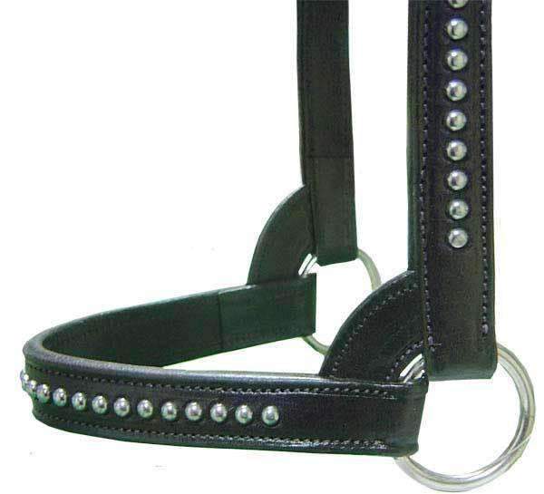 Premium Spotted Leather Cattle Show Halter with Lead - Limited Warranty ...