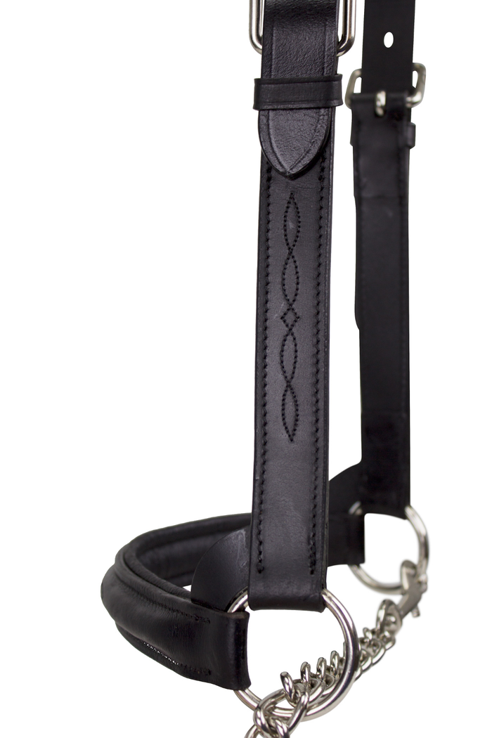 Premium Raised Padded Leather Cattle Show Halter with Chain Lead – Tack ...
