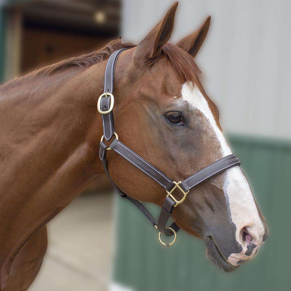 English Opulence Series - Liverpool - Fancy Stitch Padded Adjustable ...